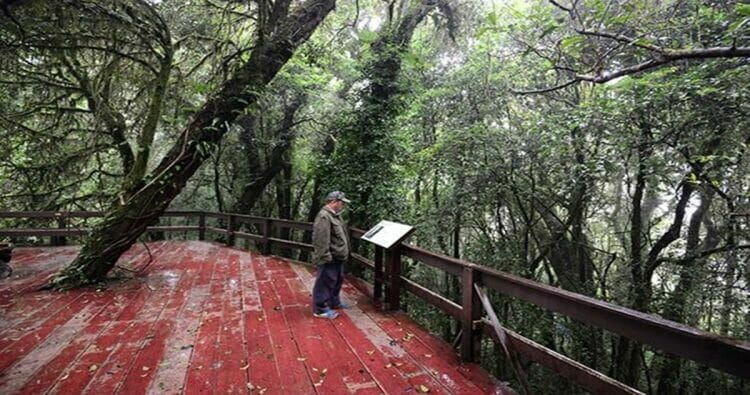 อ่างกา - lulla : ร้านกิน . ที่เที่ยว . และเมนูน่าทำ